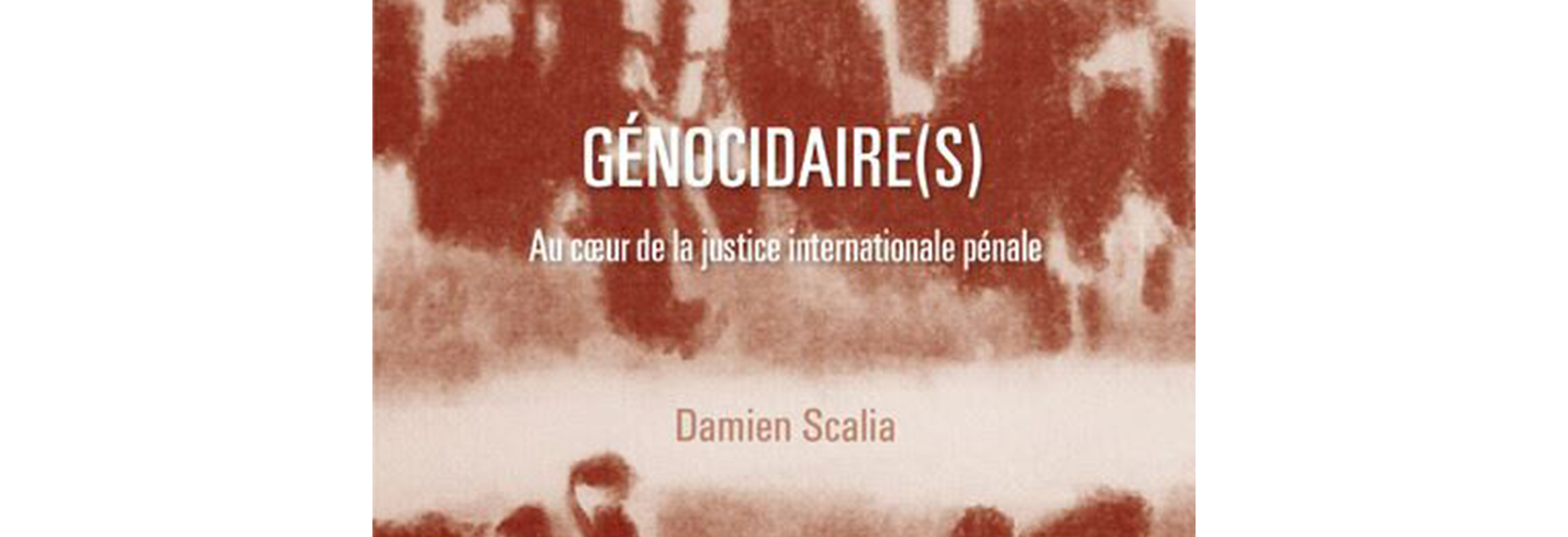 Autour de l'ouvrage de Damien Scalia : Génocidaire(s). Au cœur de la ...